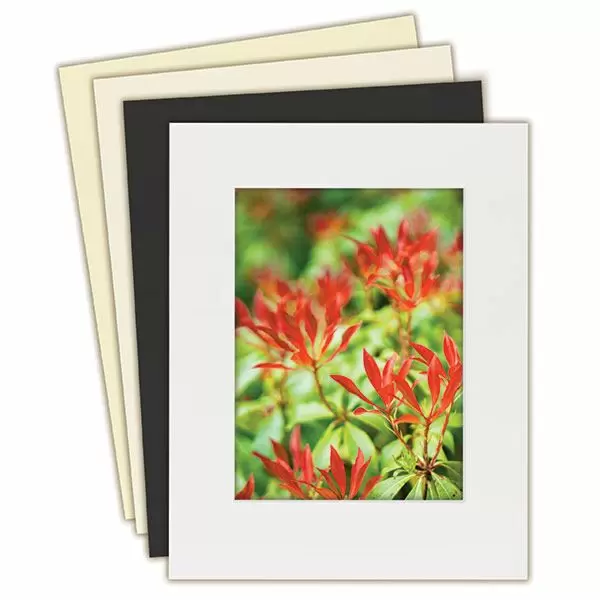 Lineco Conservation Mat Board